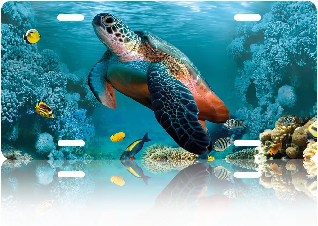 License Plate Sea Turtle License Plate Car Front License Plate Cover ...