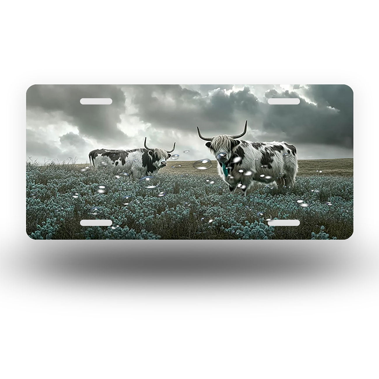 License Plate,Two Spotted Highland Cows in Field Decorative Front ...