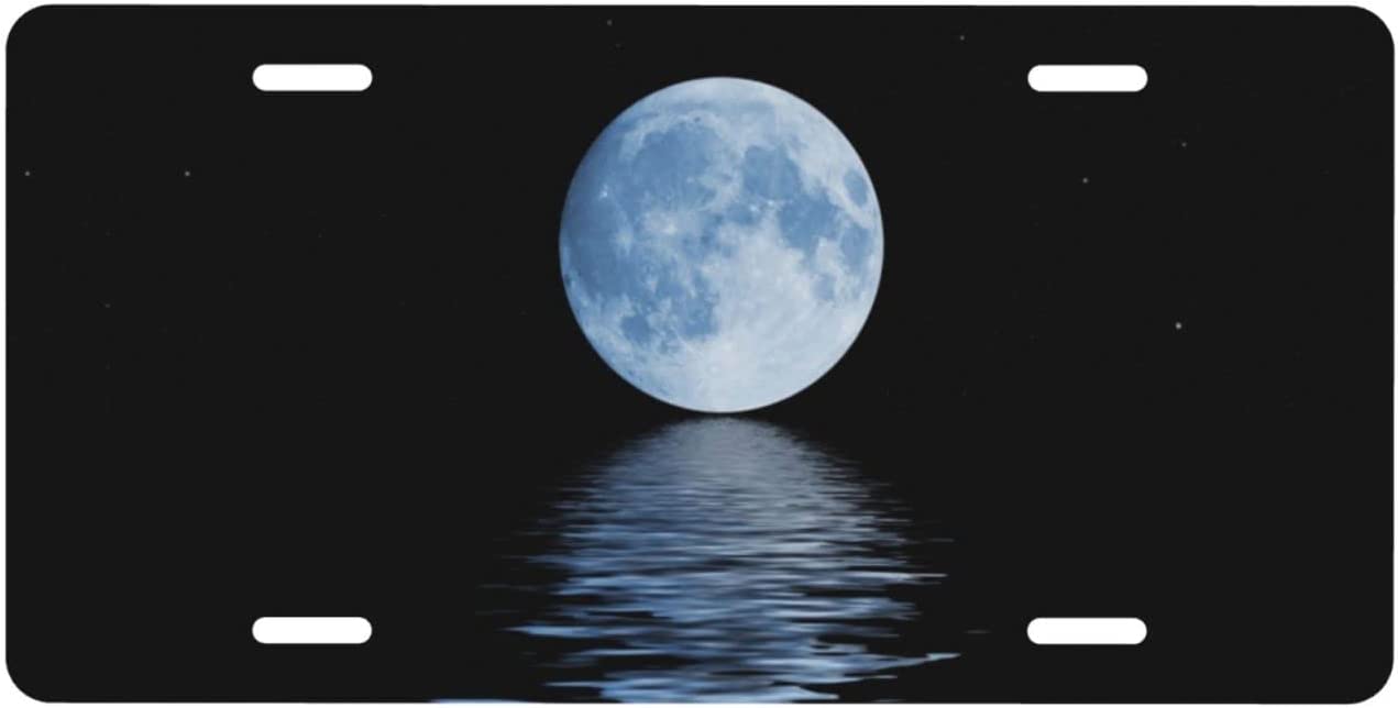 License Plates Blue Moon Decorative License Plates,Vanity Tag,Metal Car ...