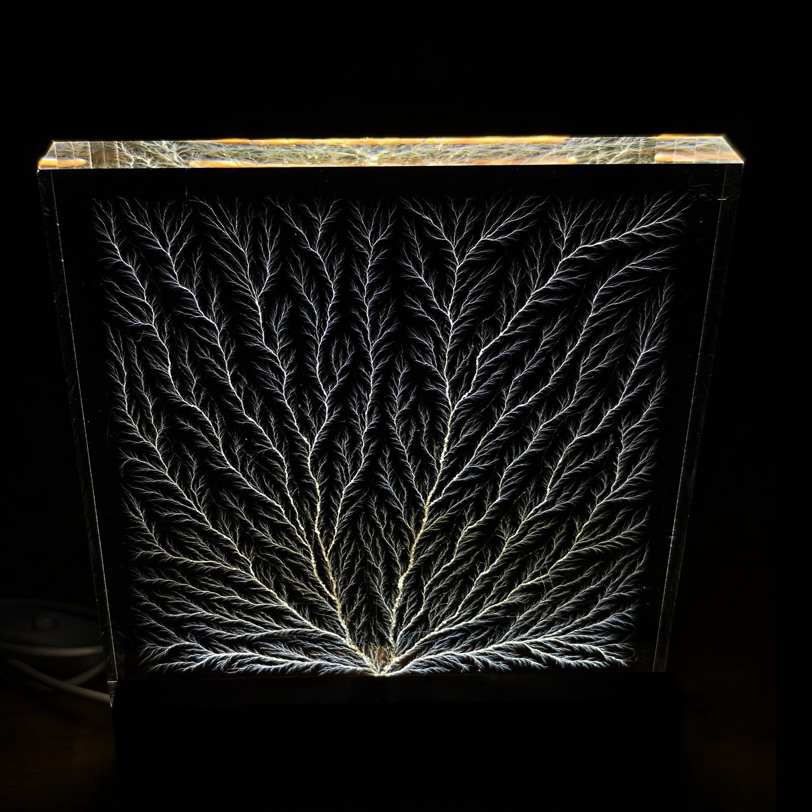 Lichtenberg Figure Acrylic Square Desk Block 7.87"×7.87"×0.78" Frozen ...