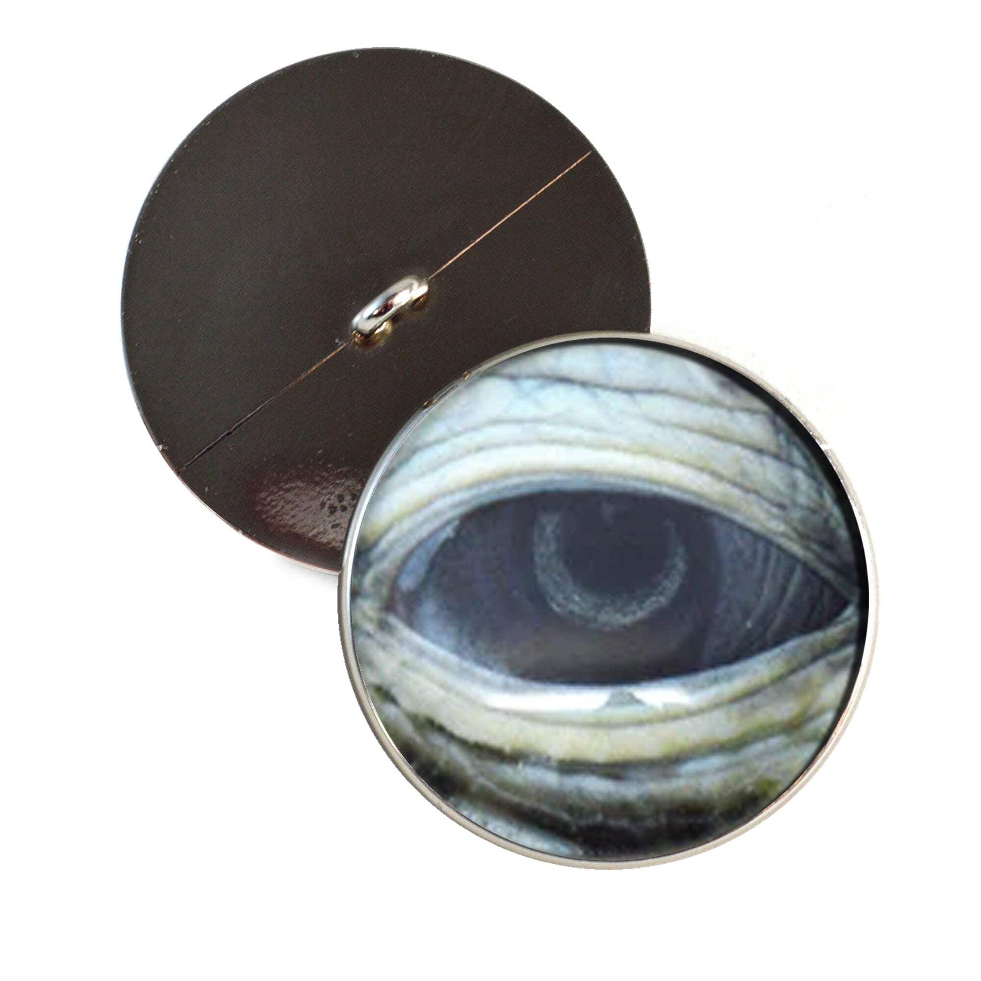 Lidded Green Sea Turtle Sew-On Button Glass Eyes - Walmart.com
