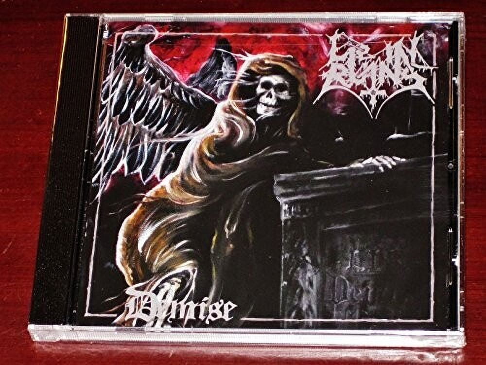 Lie in Ruins - Demise - Music & Performance - CD - Walmart.com