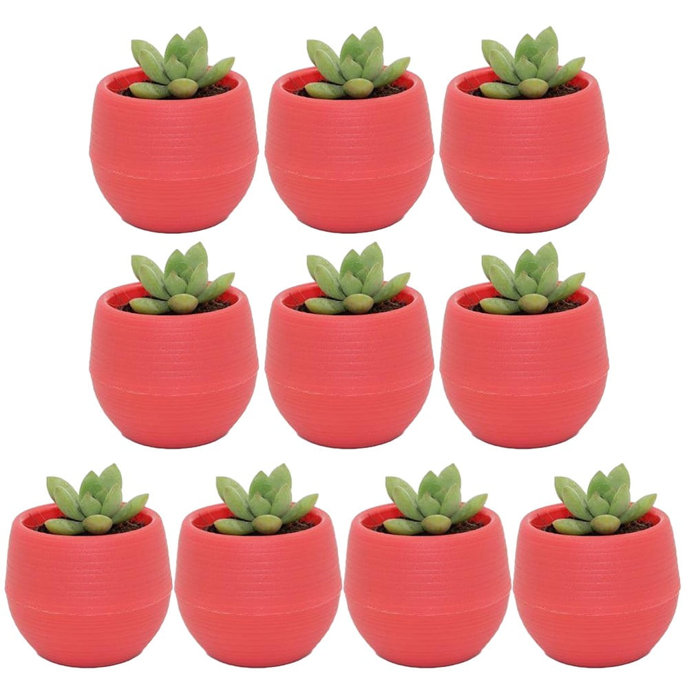 Lierteer Colorful Plastic Flower Pots Set of 107cm Succulent Plant ...