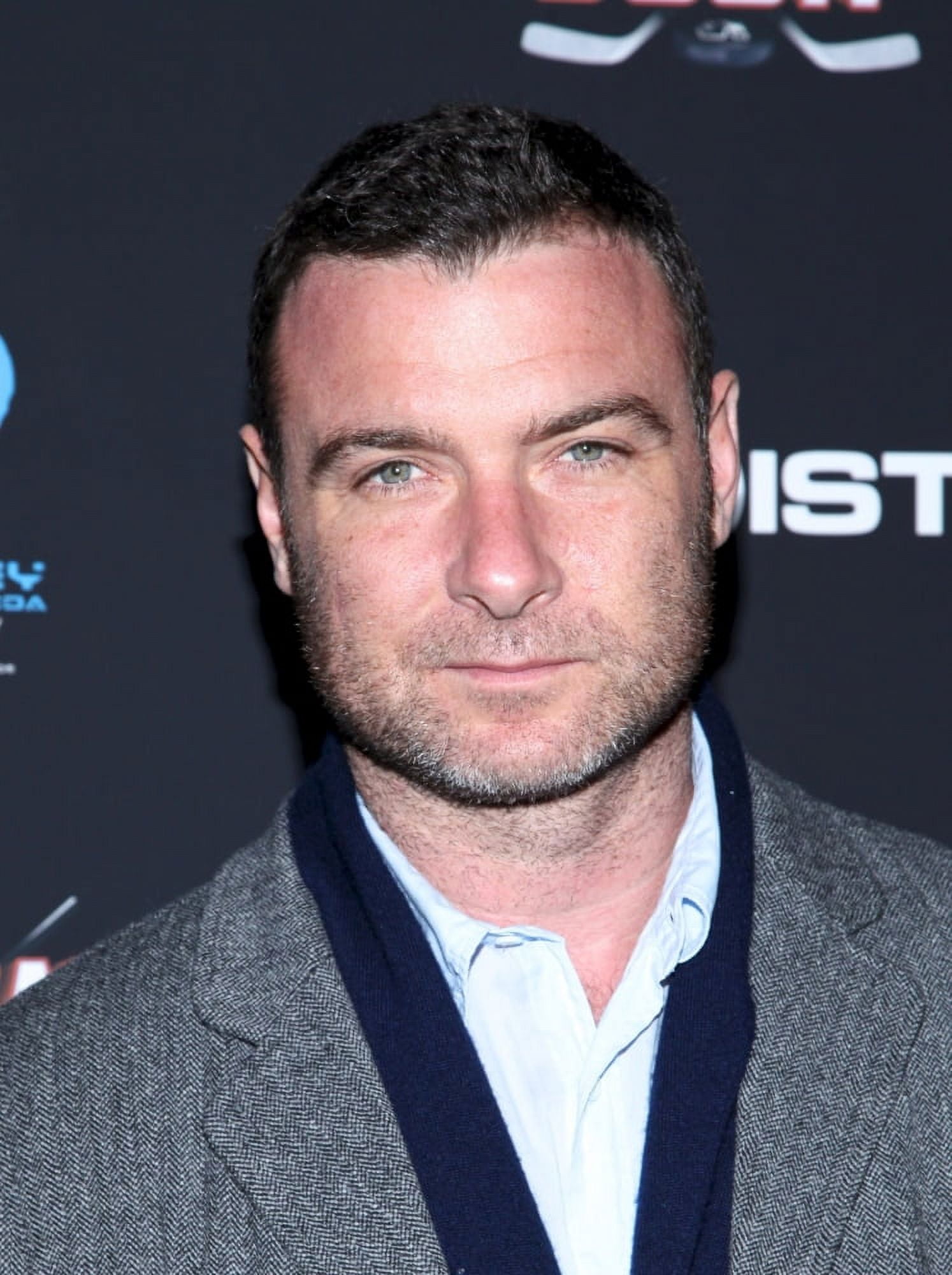 Liev Schreiber At Arrivals For Goon Premiere, School Of Visual Arts ...