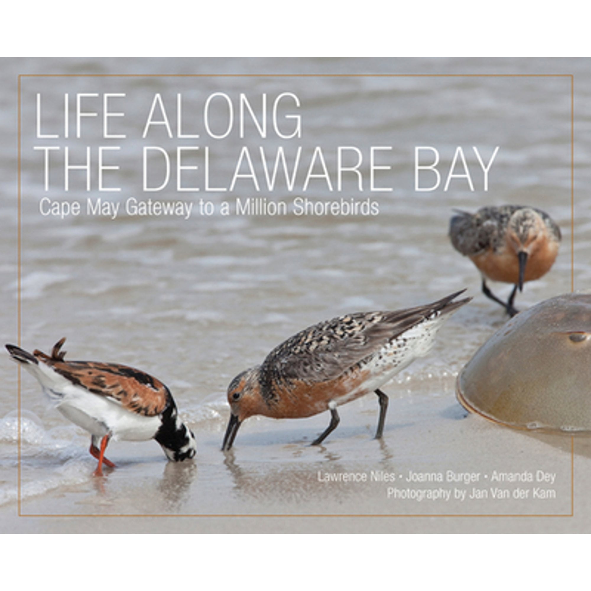 Pre-Owned Life Along the Delaware Bay: Cape May, Gateway to a Million ...