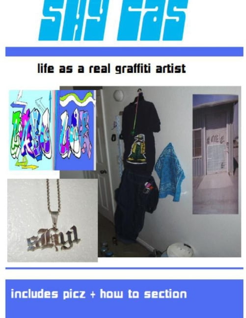 Life As A Real Graffiti Artist, (Paperback) - Walmart.com