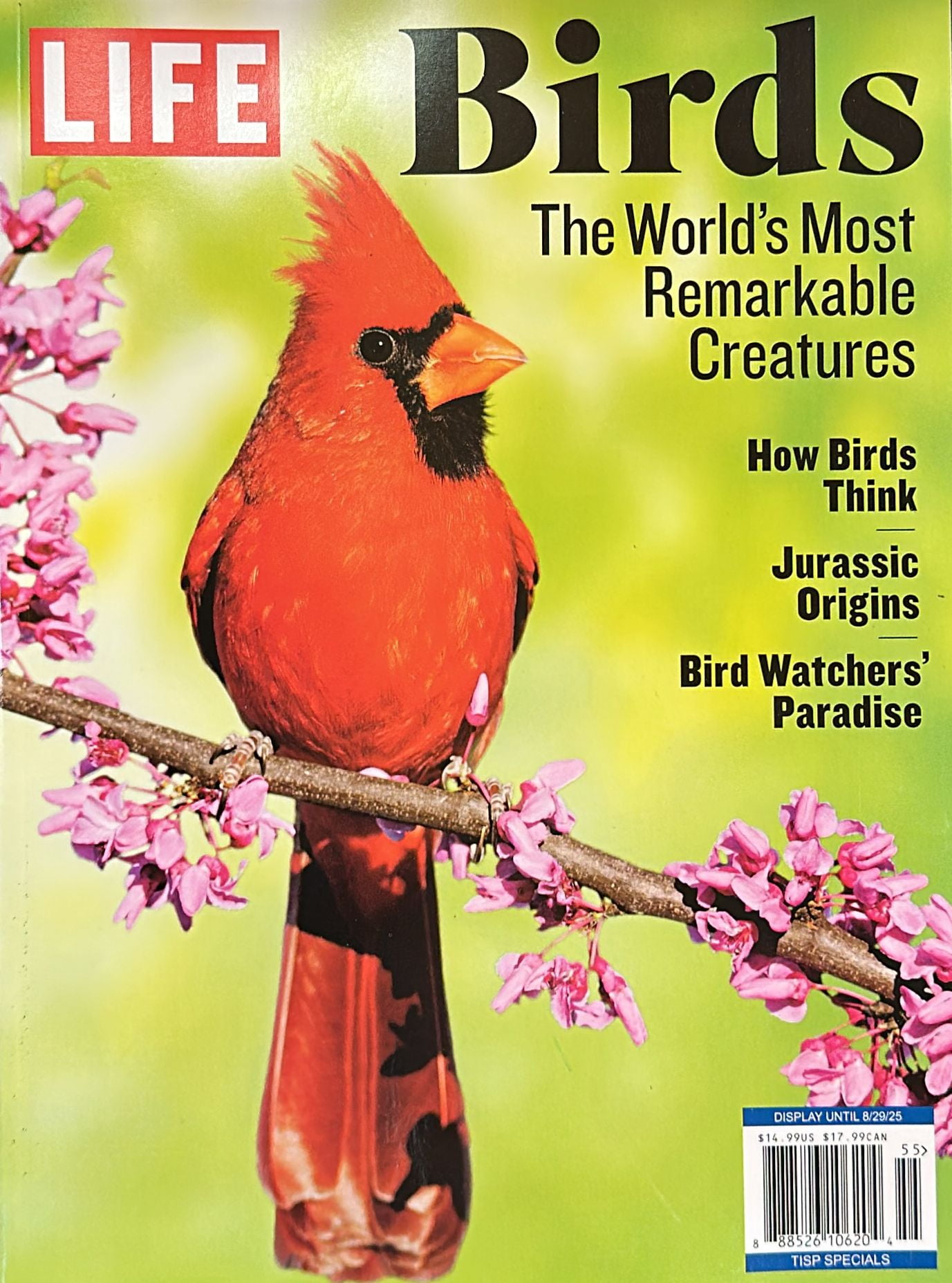 Bird Magazines