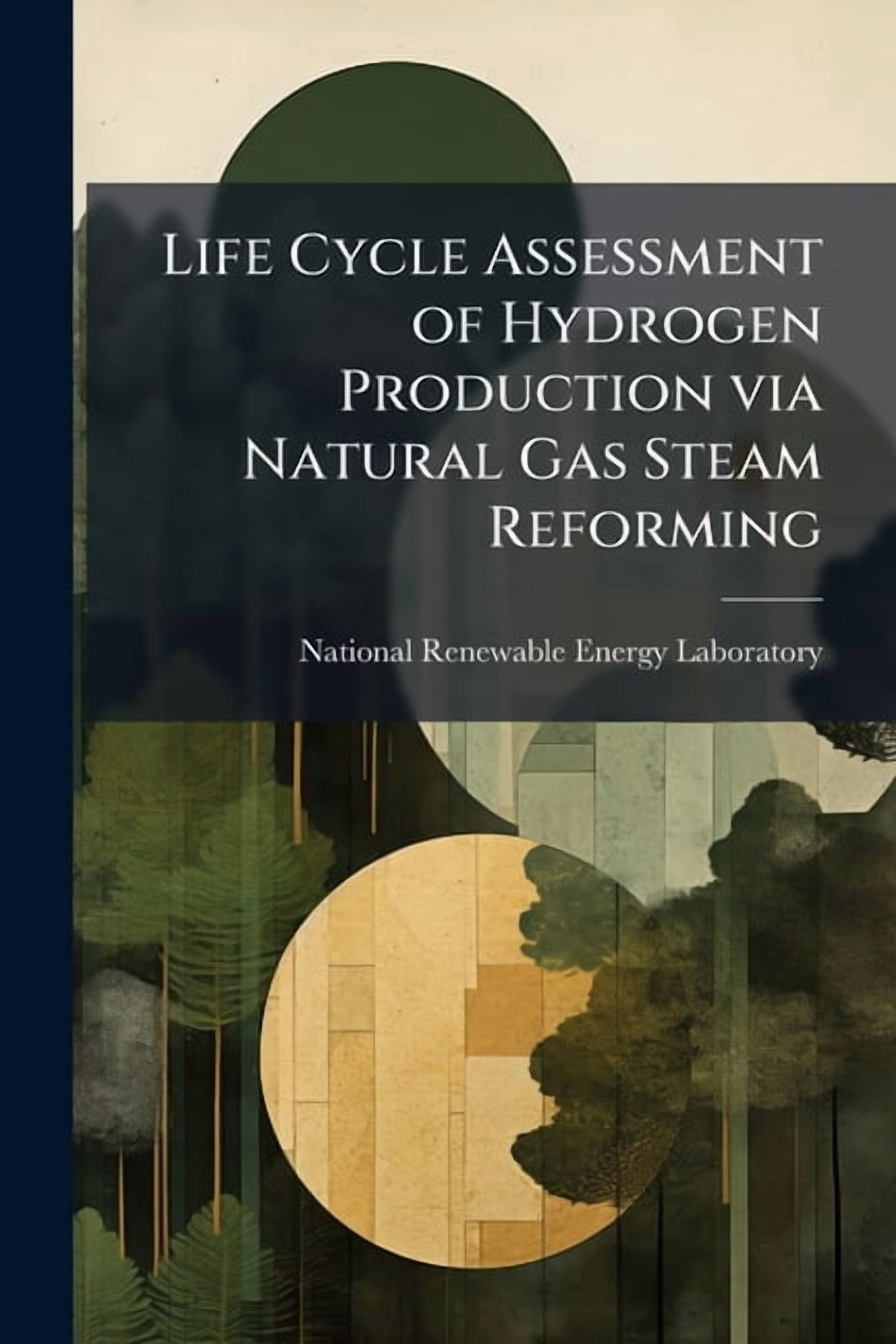 Life Cycle Assessment of Hydrogen Production via Natural Gas Steam ...