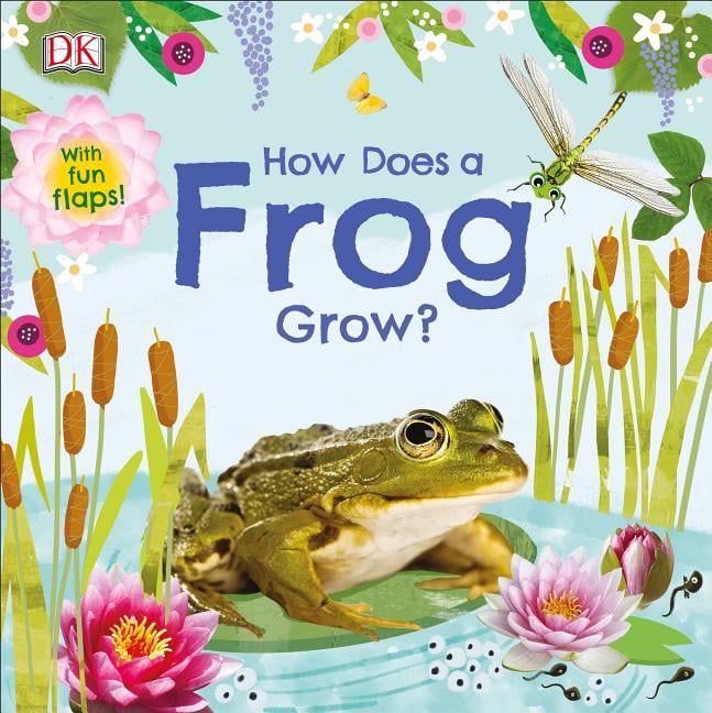 Life Cycle Of A Frog Book