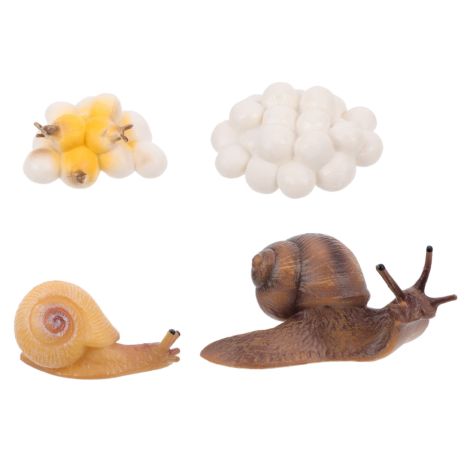 Snail Life Cycle Figurines Kids Educational Toy Set in Assorted Colors ...