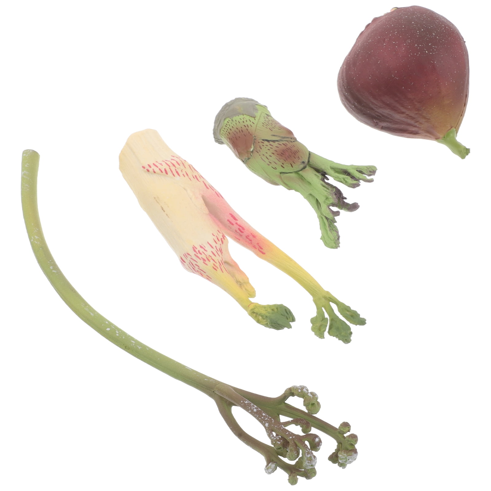 Life Cycle Figurines Toys for Kids Artificial Point Plant Toddler Child ...