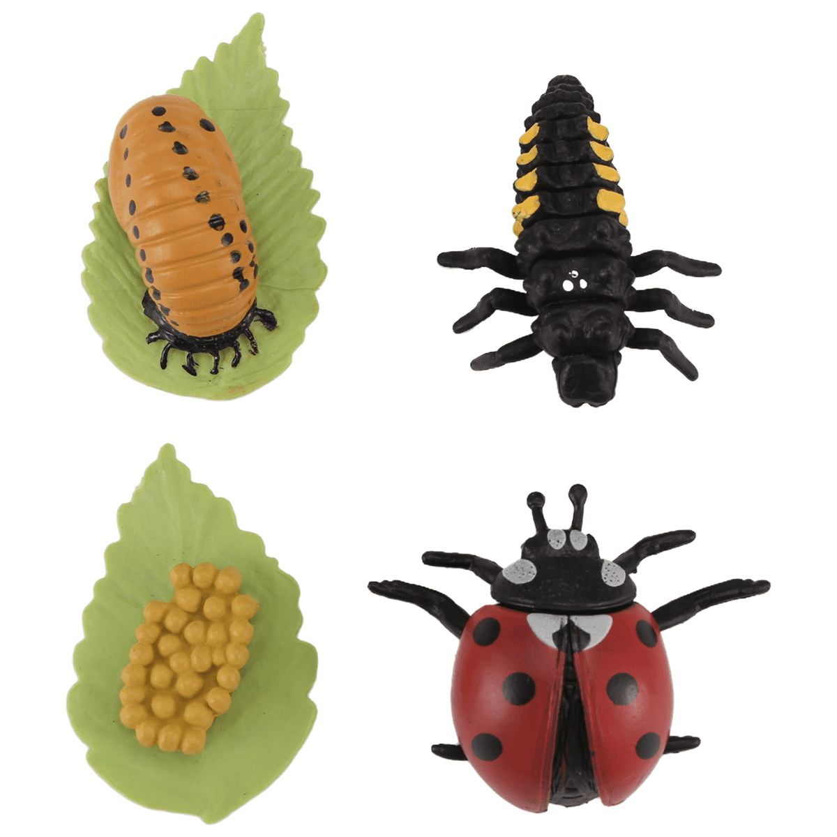Life Cycle Figurines of Butterfly Spider Bee Ladybug Dragonfly, Plastic ...