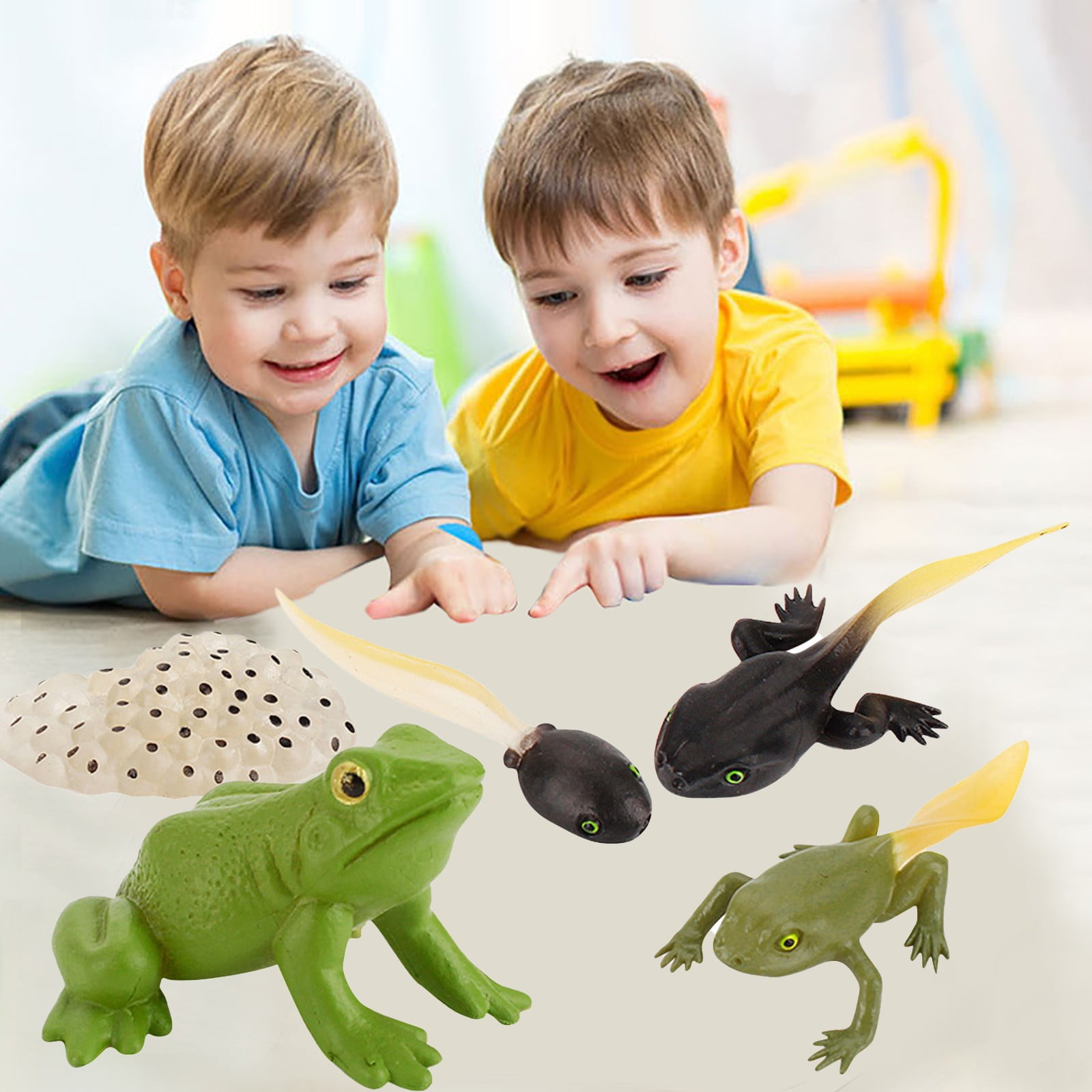 Life Cycle of Frog Snail Earthworm Dragonfly, Egg Tadpole to Frog ...