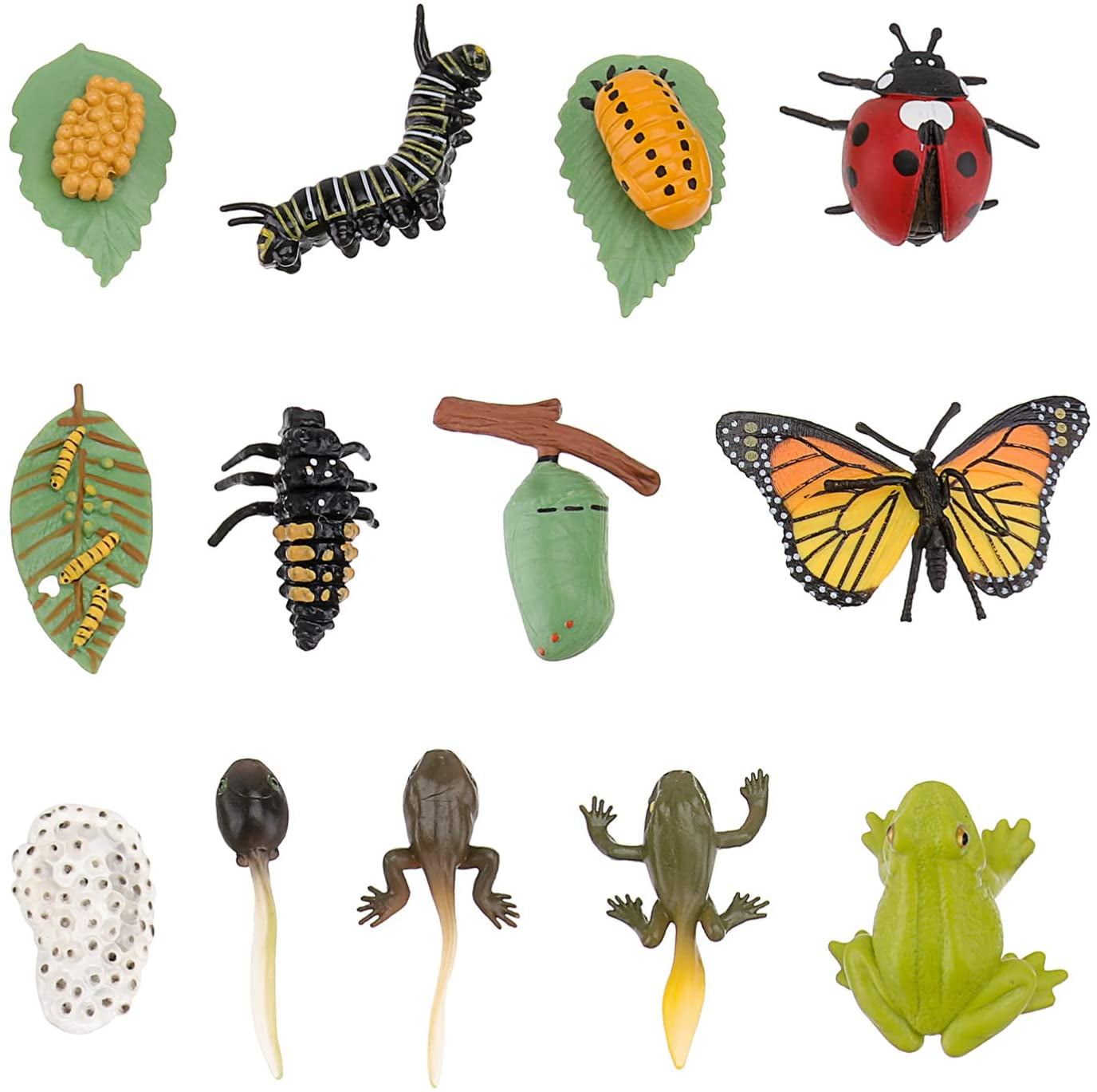 Life Cycle Learning & Education Toys, Plastic Insect Ladybug Monarch ...