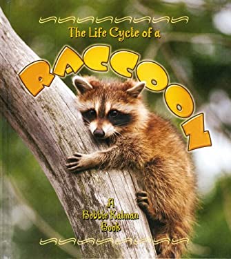 Pre-Owned The Life Cycle of a Raccoon 9780778706618 Used - Walmart.com
