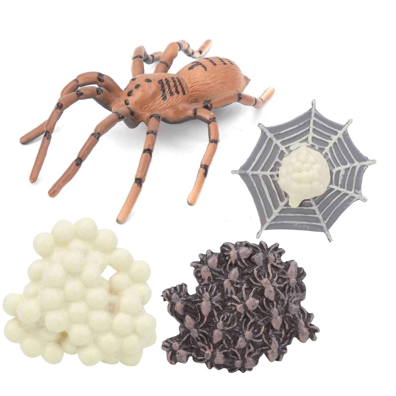 Life Cycle Toys Realistic Animal Growth Cycle Model Figure Toys Frog ...