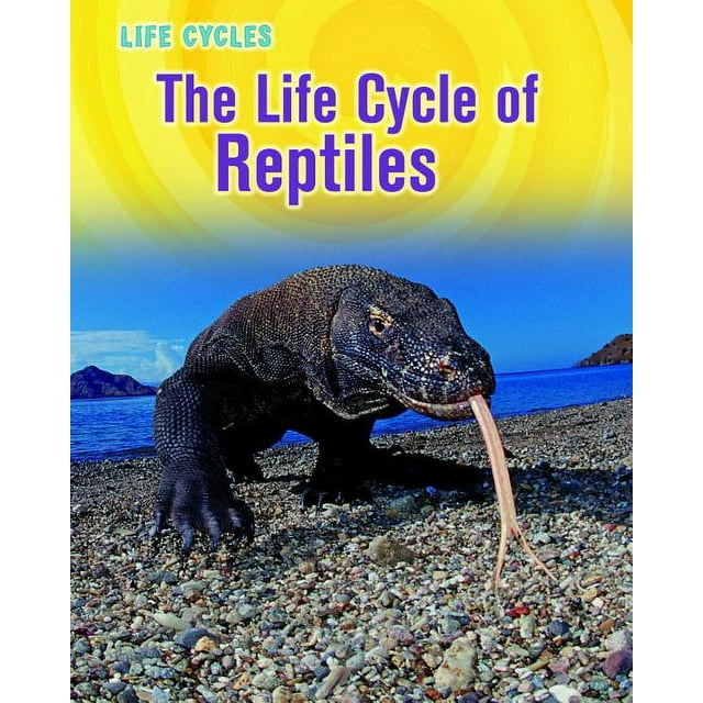Life Cycle of Reptiles - Walmart.com