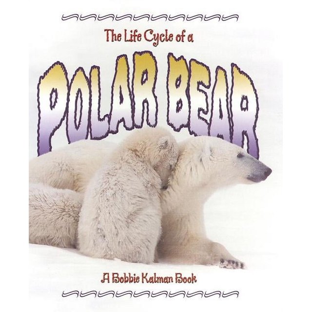 Life Cycle of a Polar Bear - Walmart.com
