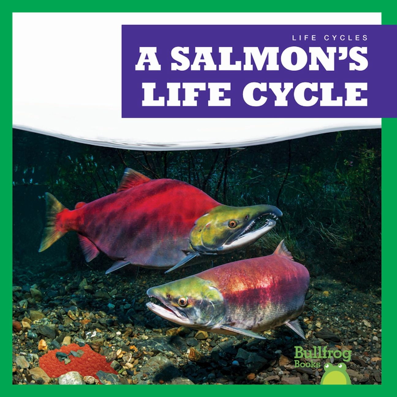 Life Cycles: A Salmon's Life Cycle (Hardcover) - Walmart Business Supplies