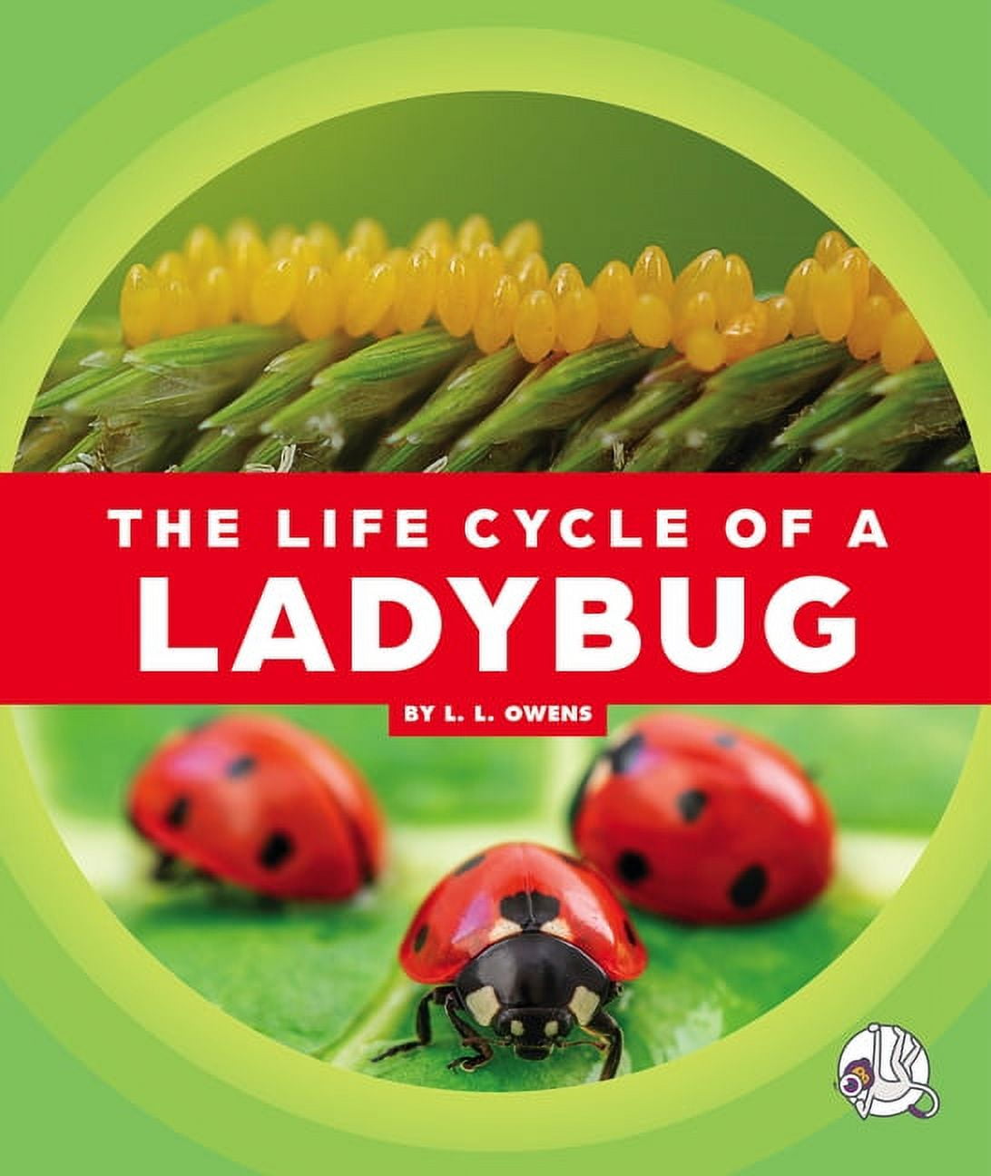 Life Cycles: The Life Cycle of a Ladybug (Hardcover) - Walmart.com
