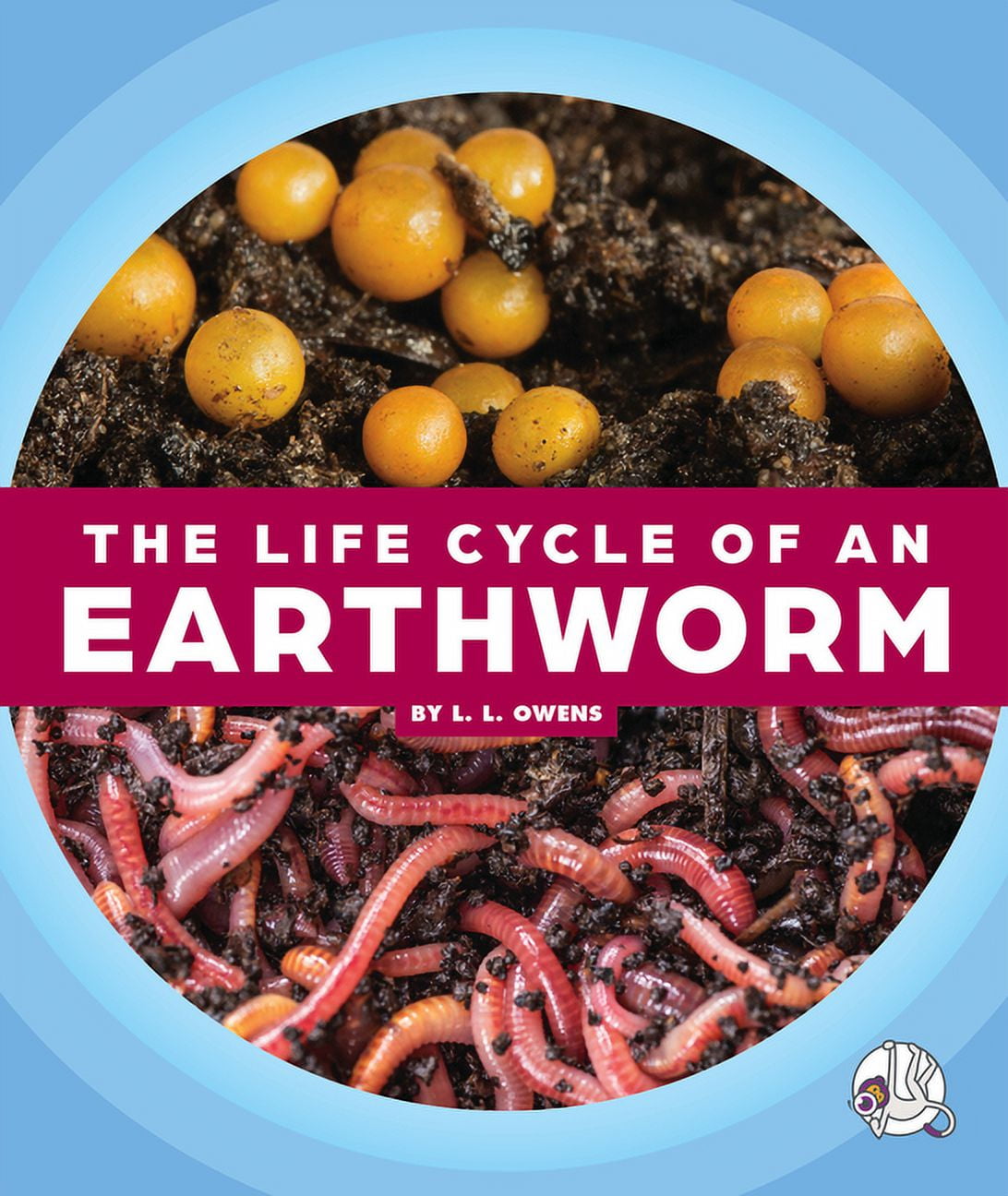 Life Cycles The Life Cycle of an Earthworm, (Hardcover) - Walmart.com