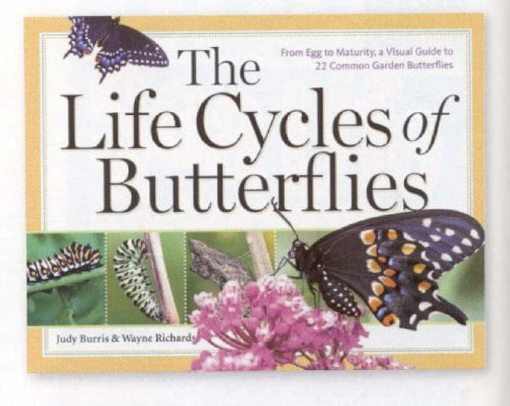 Pre-Owned Life Cycles of Butterflies: From Egg to Maturity, a Visual ...