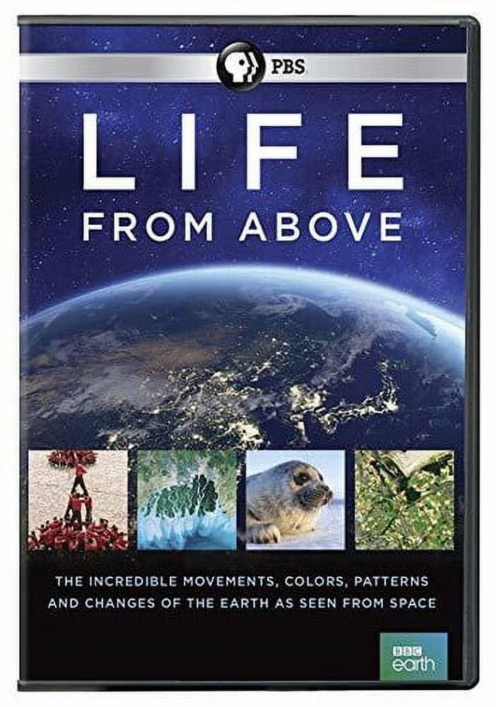 Life From Above (DVD), PBS (Direct), Documentary - Walmart.com