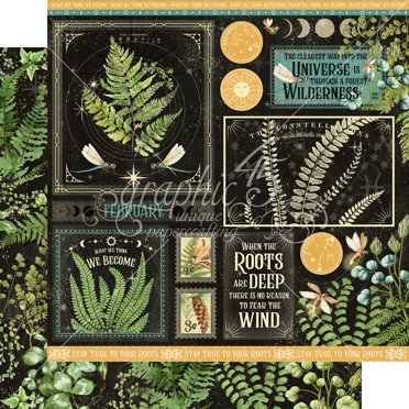 DCWV Double-Sided Cardstock Stack 12"X12" 36/Pkg-Preserved Paper, 18 ...