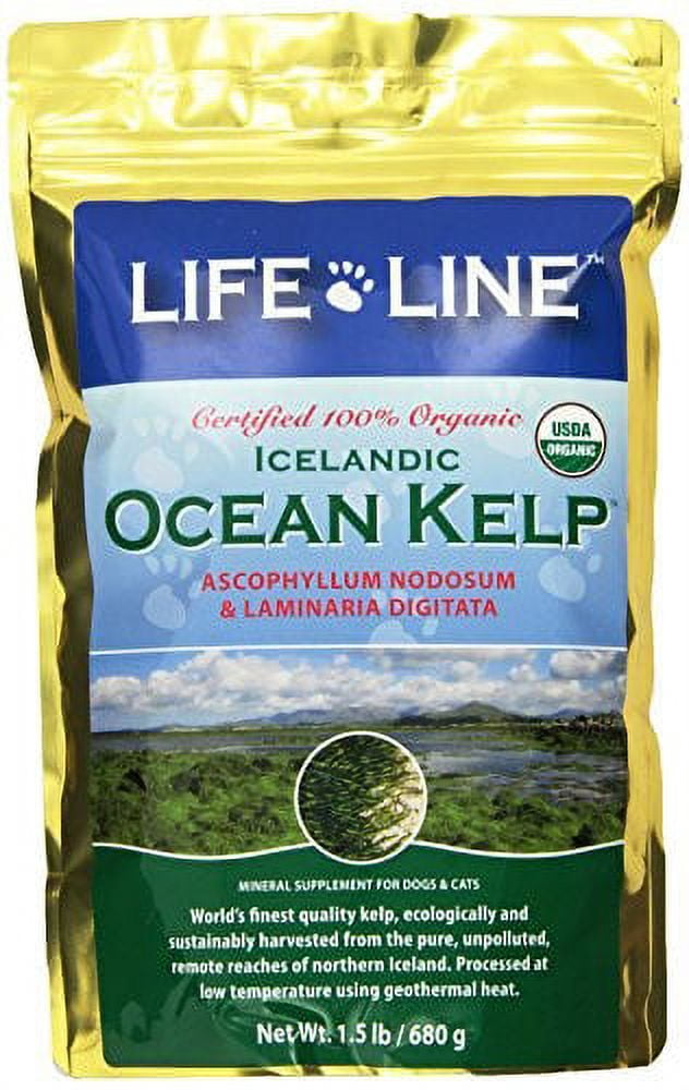 Organic Ocean Kelp Supplement for Pets – 1.5 LB – For Dogs & Cats ...
