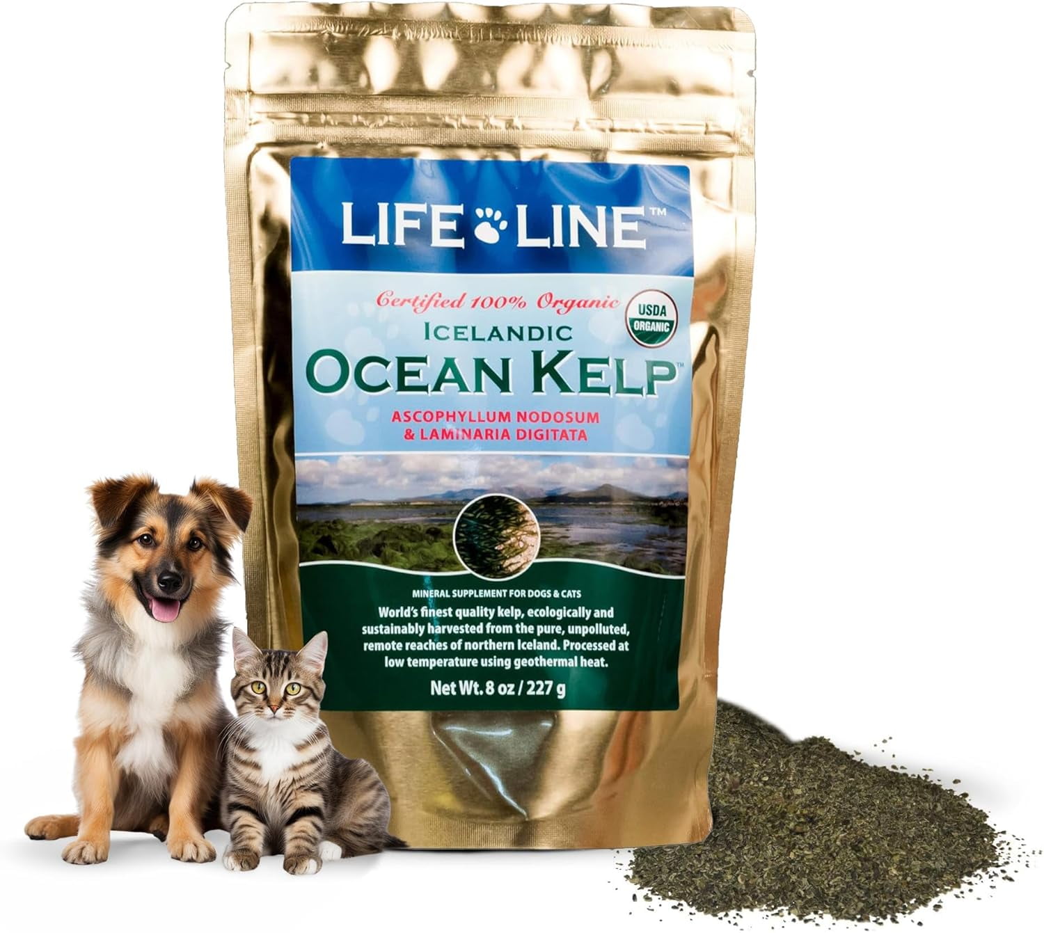 Organic Ocean Kelp Supplement for Pets – 8 OZ – For Dogs & Cats ...