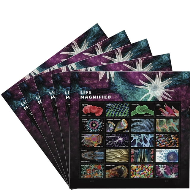 Life Magnified USPS Forever Postage Stamp 5 Sheets of 20 US First Class ...