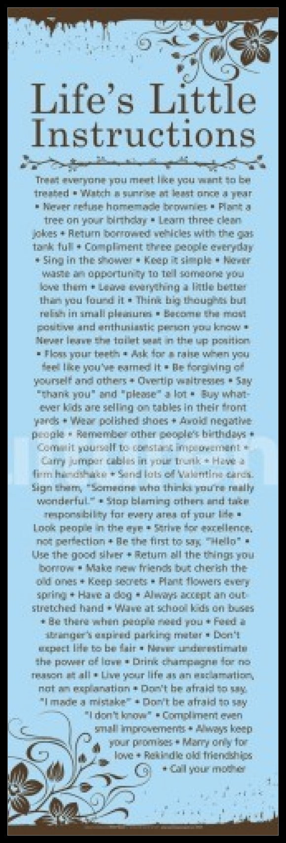 Life'S Little Instructions Laminated & Framed Poster (36 X 12 ...