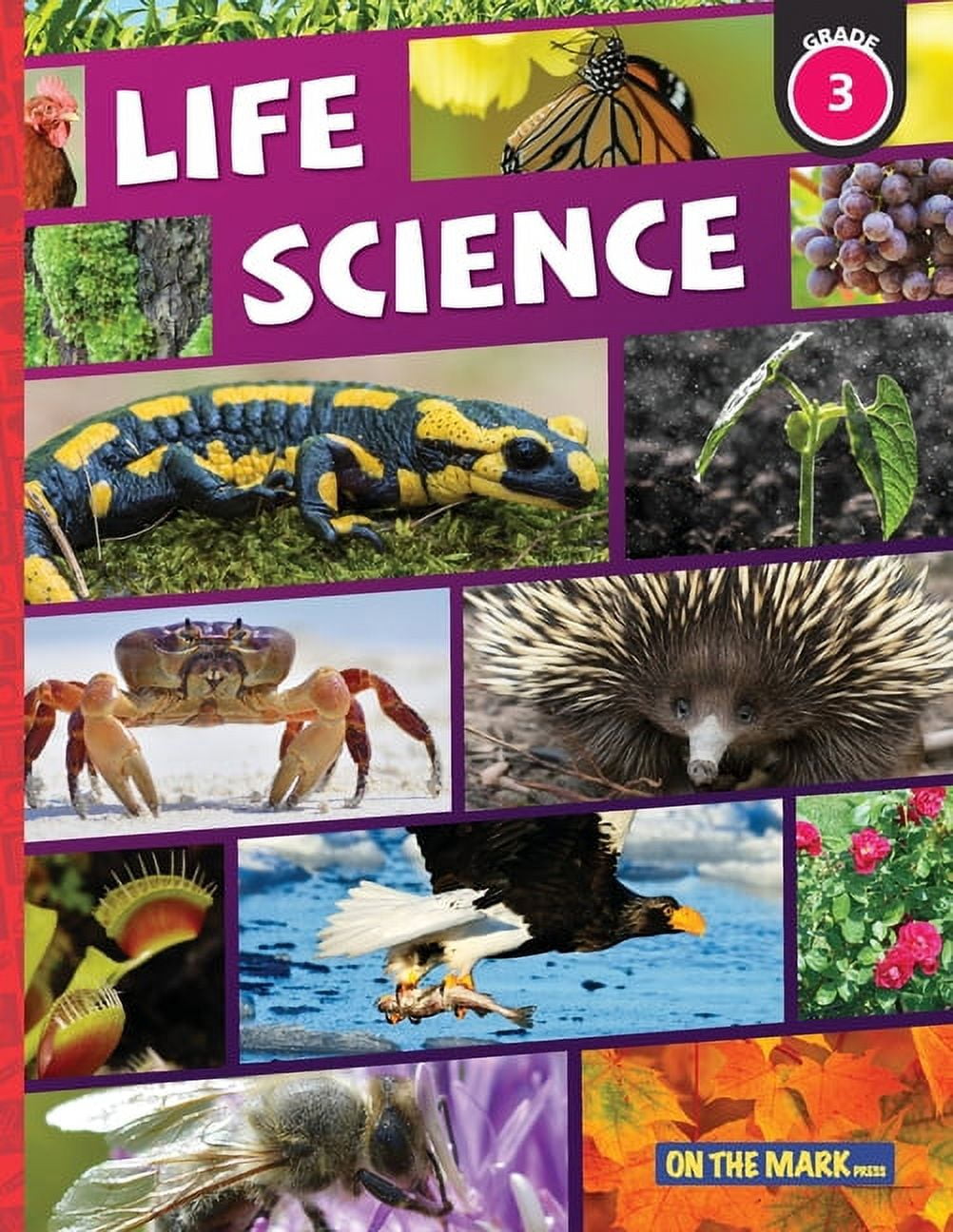Life Science Grade 3: Growth & Changes in Plants; and Animal Life ...