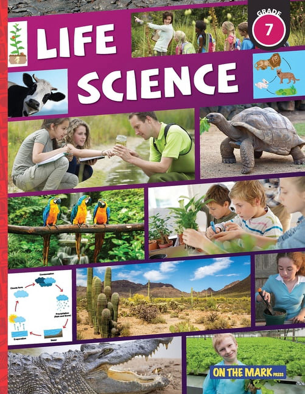 Life Science: Life Science Grade 7: Interactions Within Ecosystems in ...