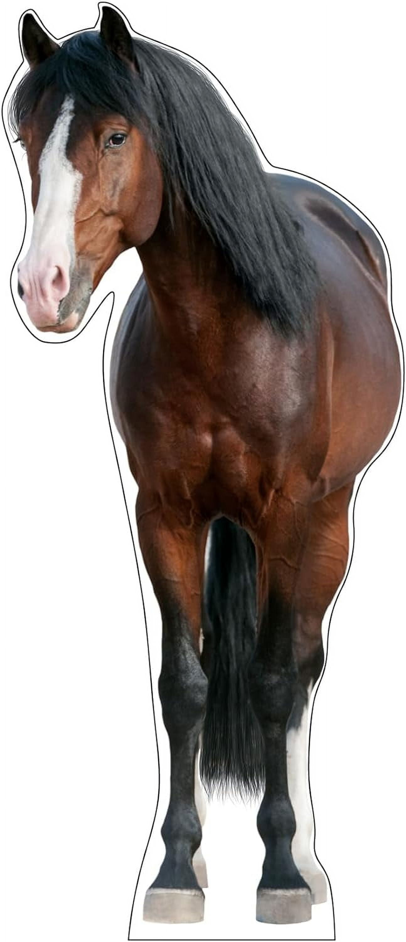 Life Size Cardboard Cutout Standup | Waterproof | Animals - Cattle ...