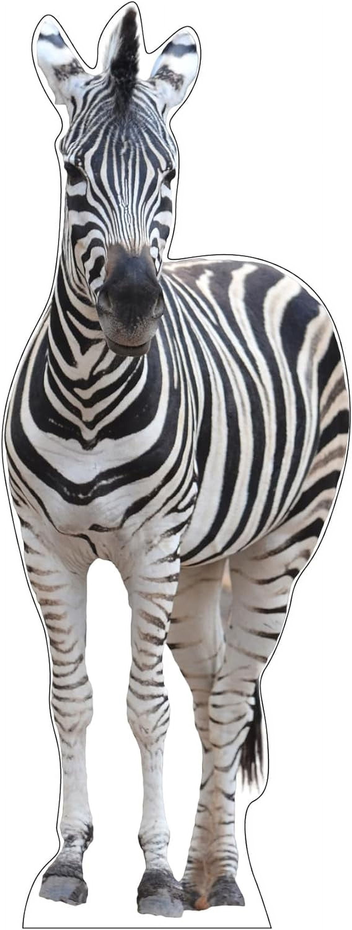 Life Size Cardboard Cutout Standup | Waterproof | Animals - Cattle ...