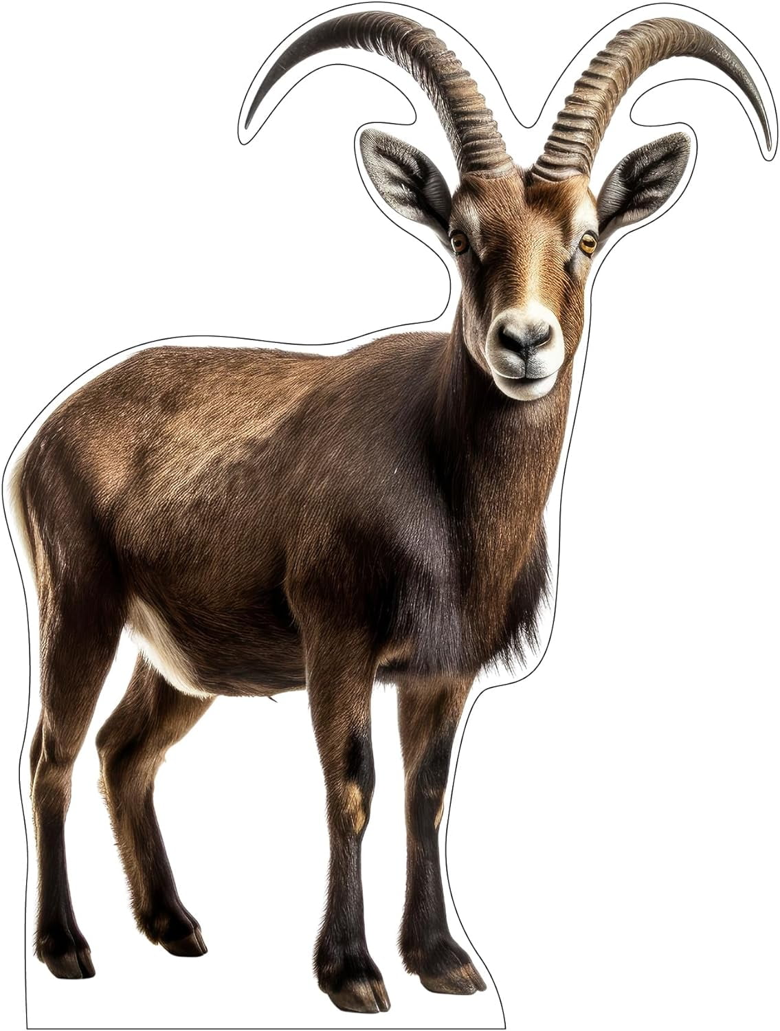 Life Size Cardboard Cutout Standup | Waterproof | Animals - Goat ...