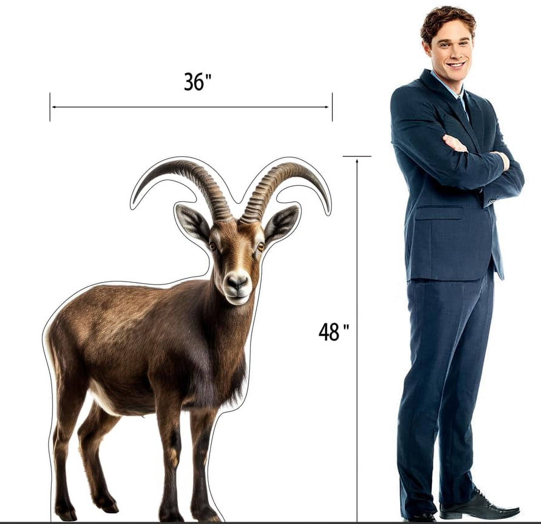 Life Size Cardboard Cutout Standup | Waterproof | Animals - Goat ...