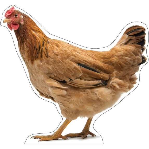 Life Size Cardboard Cutout Standup | Waterproof | Animals - Hen ...