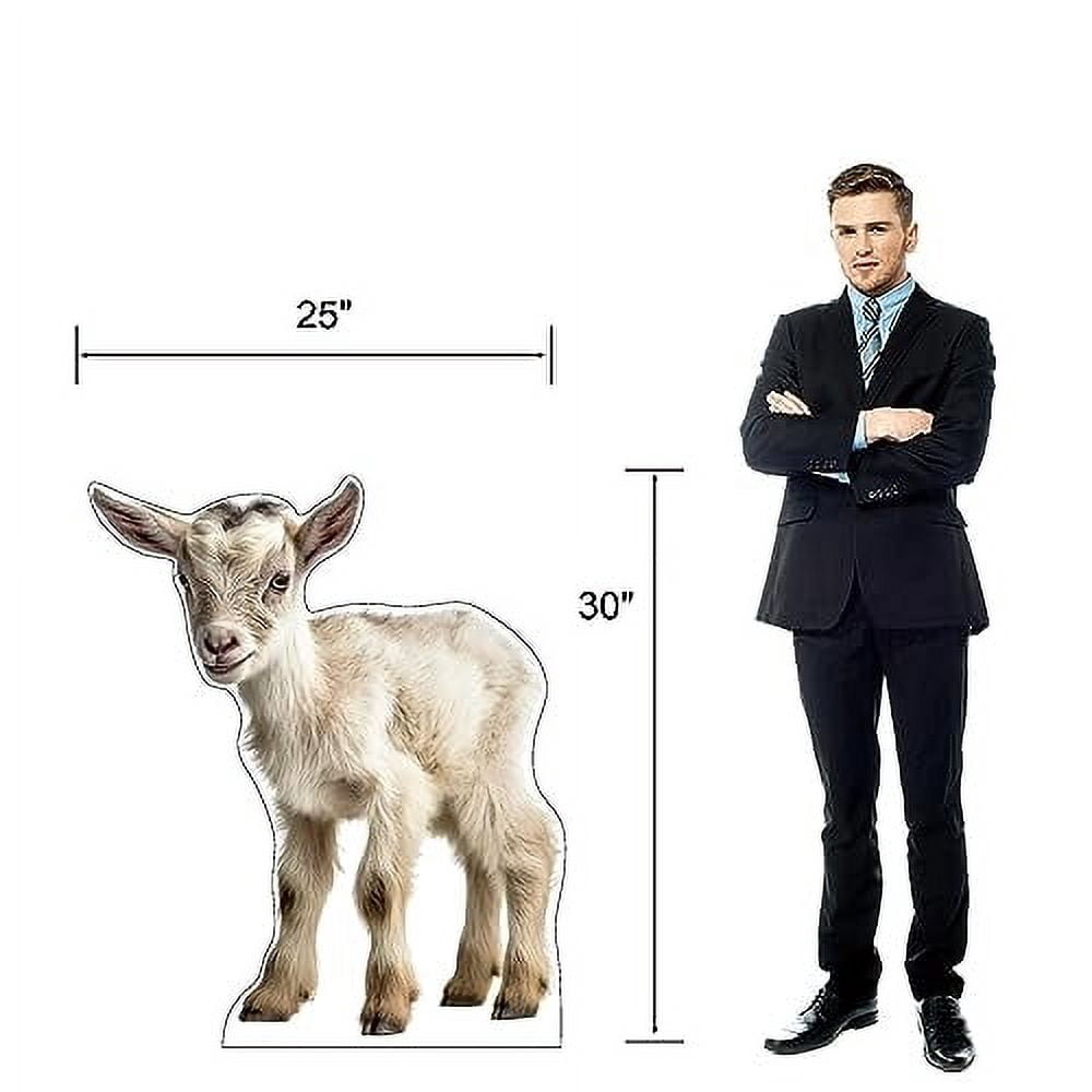 Life Size Cardboard Cutout Standup | Waterproof | Animals - Lamb ...
