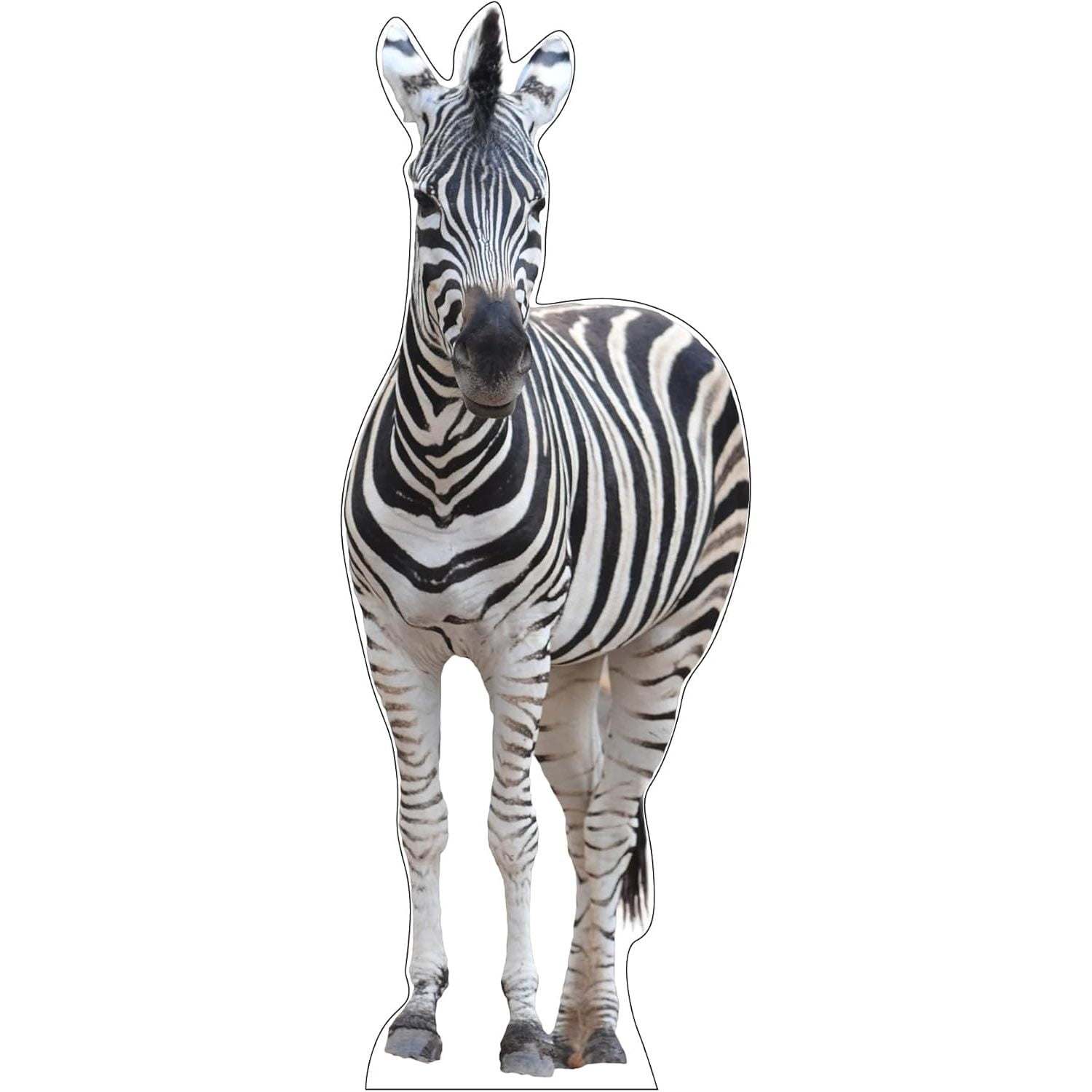 Life Size Cardboard Cutout Standup | Waterproof | Animals - Zebra ...