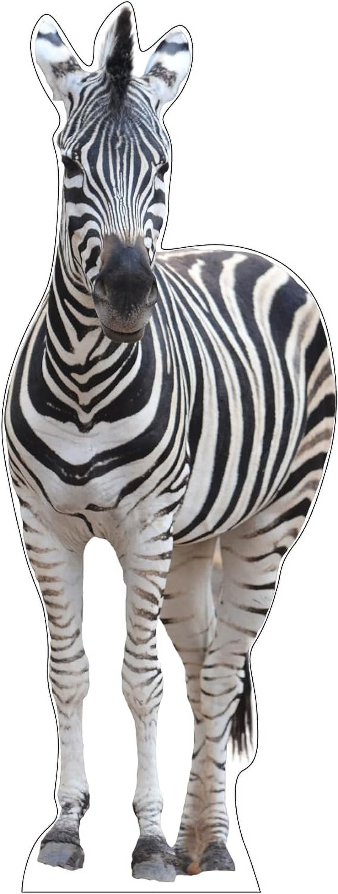 Life Size Cardboard Cutout Standup | Waterproof | Animals - Zebra ...
