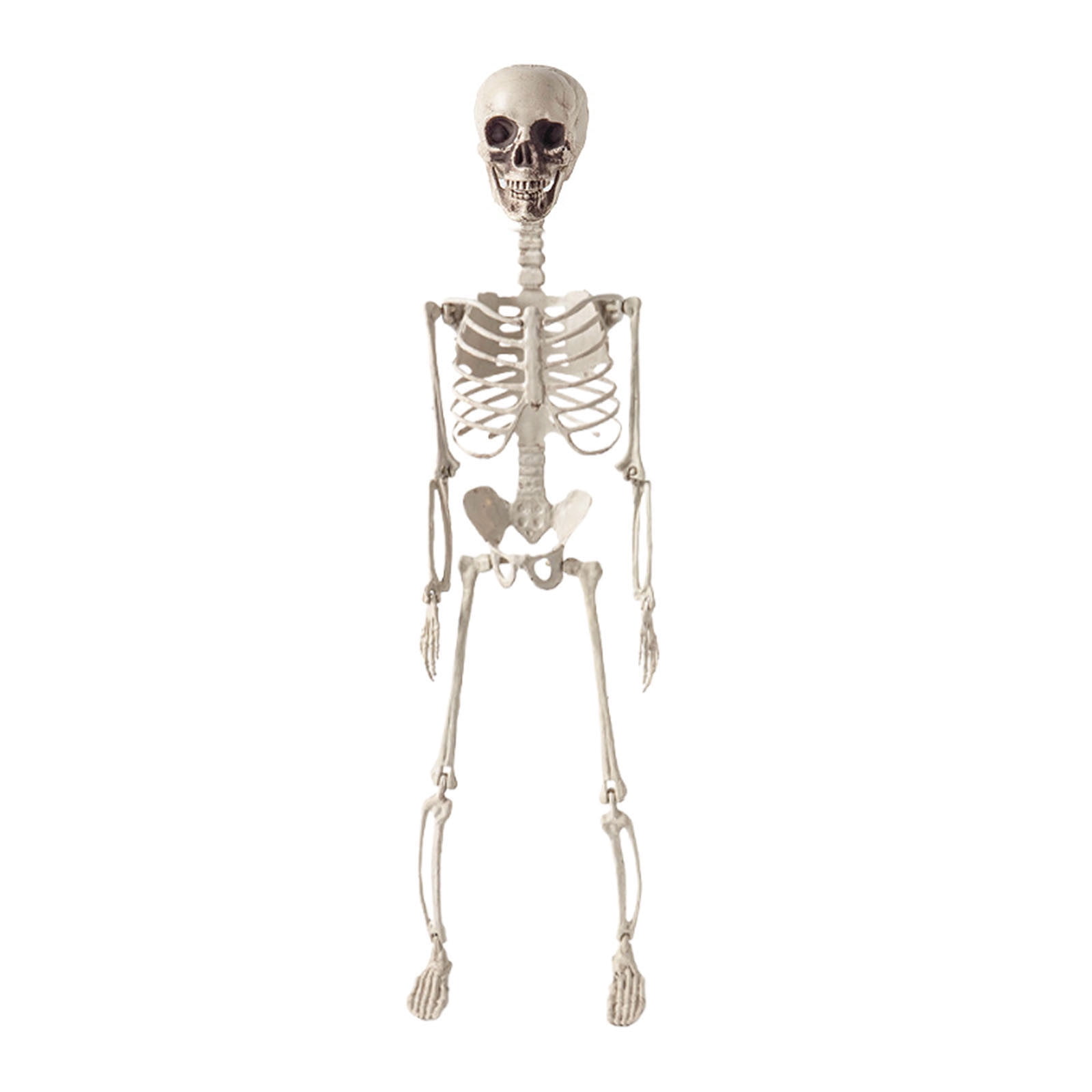 A Life Size Halloween Skeleton Decoration Realistic Poseable Bone ...
