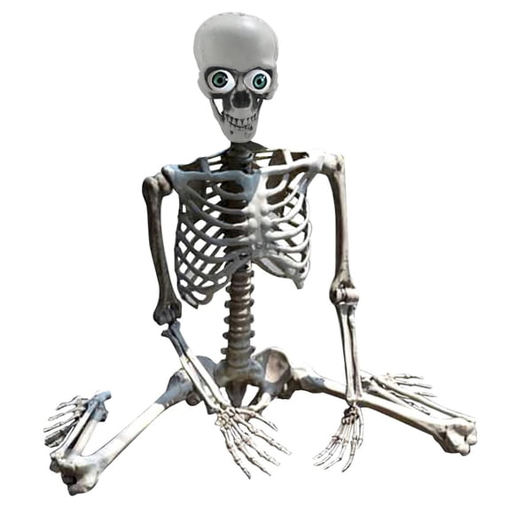 Life-Size Posable Halloween Skeleton - Realistic Human Skeleton with ...