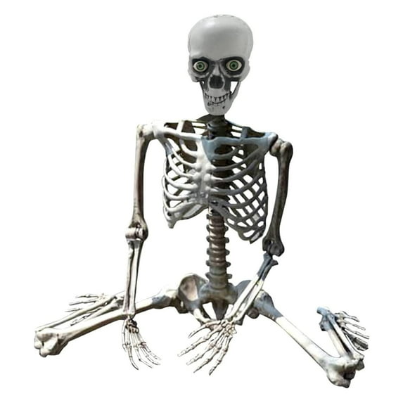 Life-Size Posable Halloween Skeleton - Realistic Human Skeleton with ...