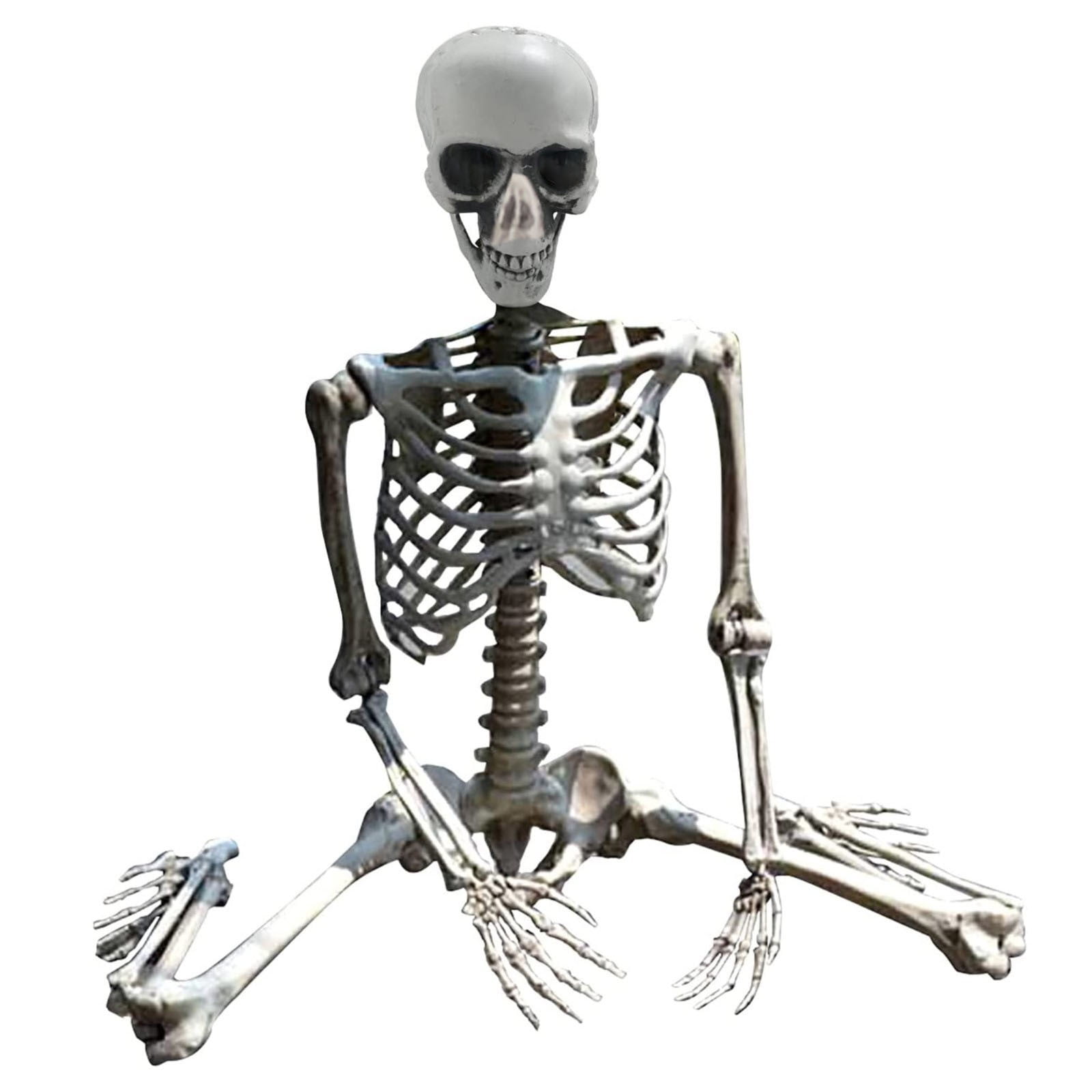 Life Size Posable Human Skeleton Model for Halloween Anatomy Study and ...