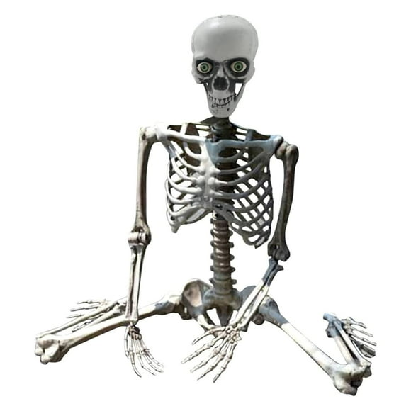 Posable Skeleton
