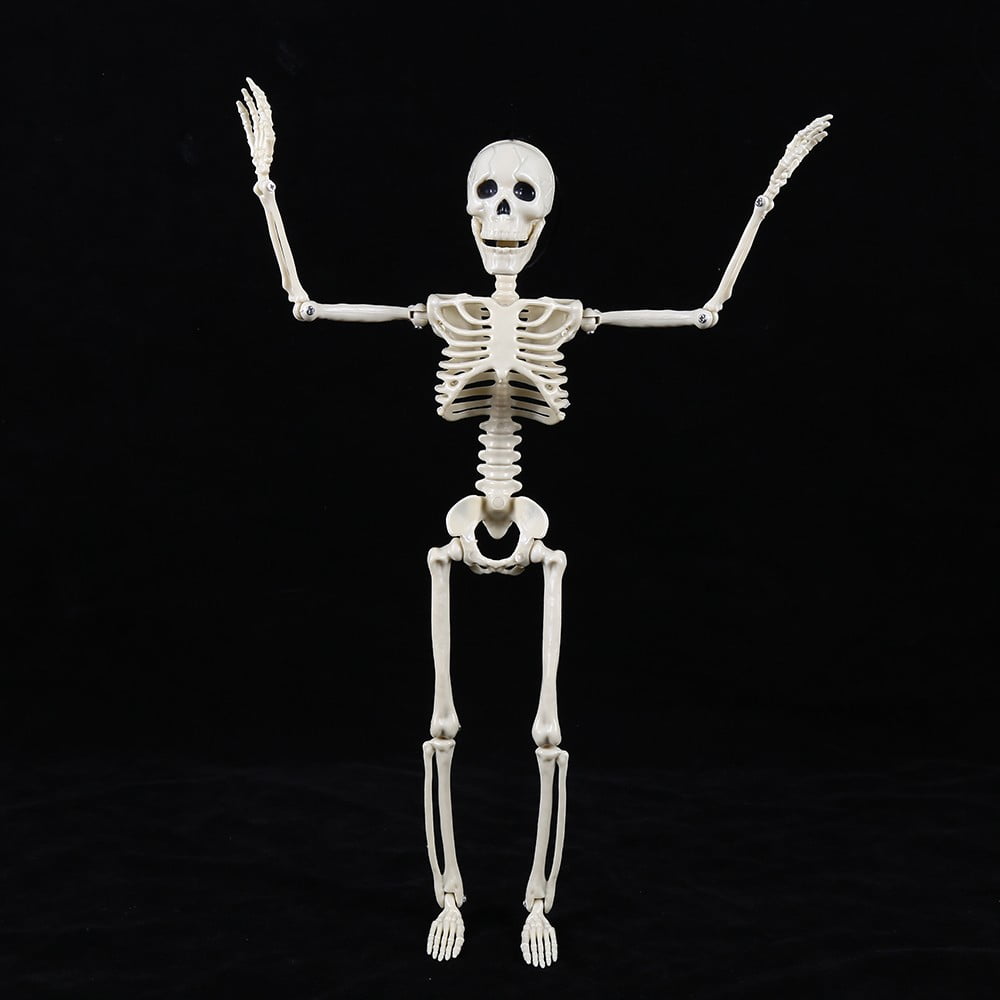"Life-Size Poseable Halloween Skeleton with Movable Joints - Realistic ...