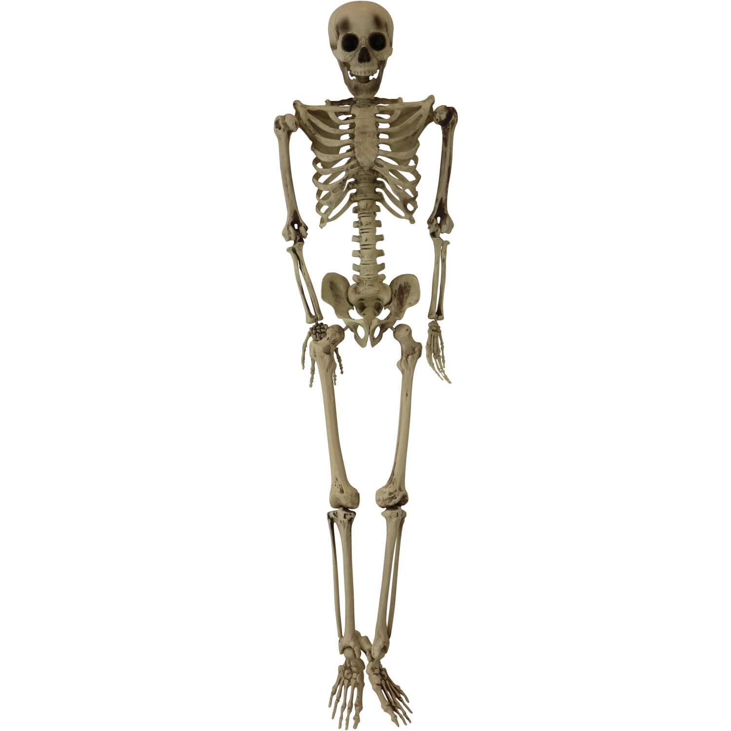 Life-Size 5 ft Skeleton Prop, Indoor/Covered Outdoor Halloween ...