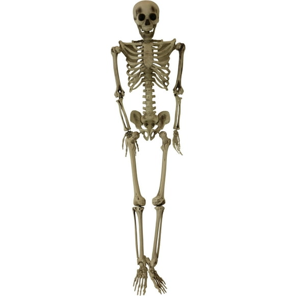 Poseable Skeleton